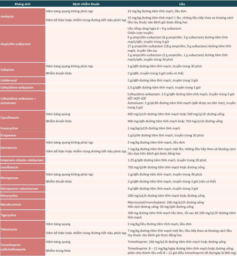 IDSA 2023: Hướng dẫn kiểm soát nhiễm khuẩn gram âm kháng thuốc - Docquity